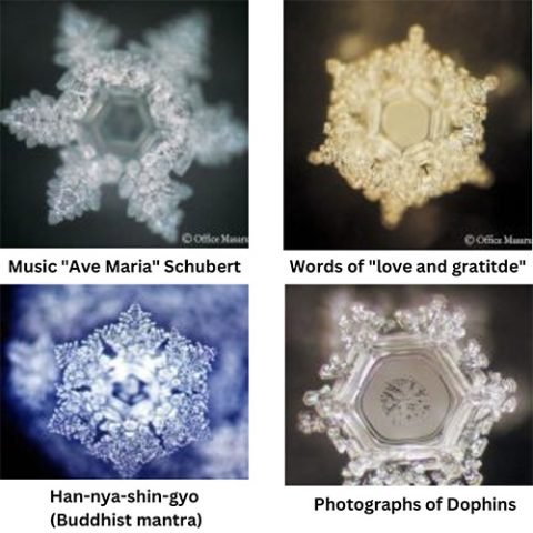 Dr. Masaru Emoto: How Emotion Influences Water - Born As The Earth Zen ...